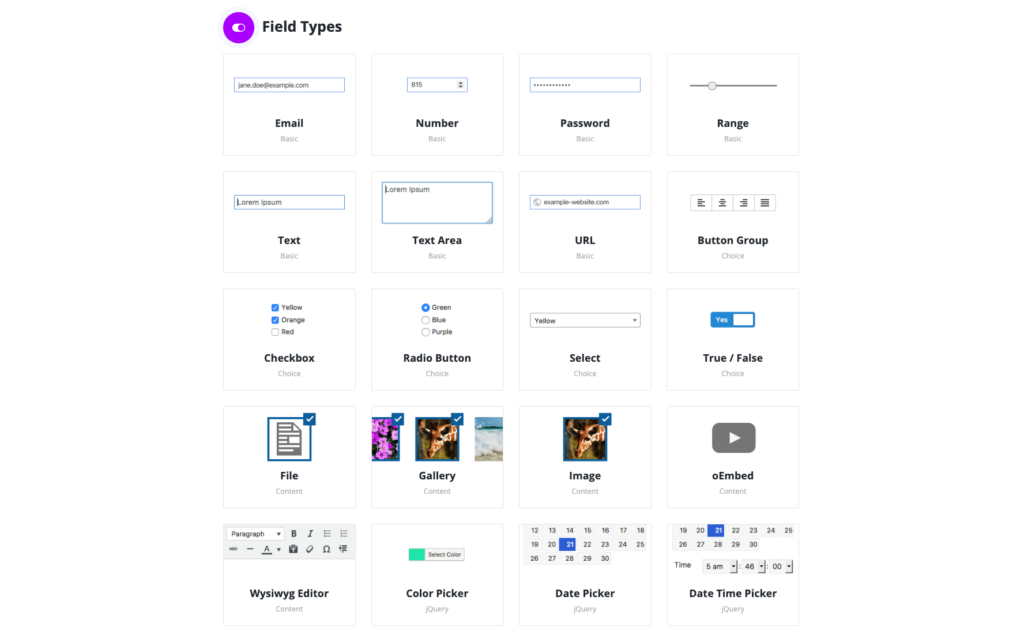 6 Superior WordPress Custom Field Plugins to Consider - Blog - Admin Columns Pro
